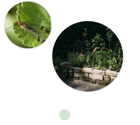 Rissen.de – Herzlich Willkommen auf rissen.de